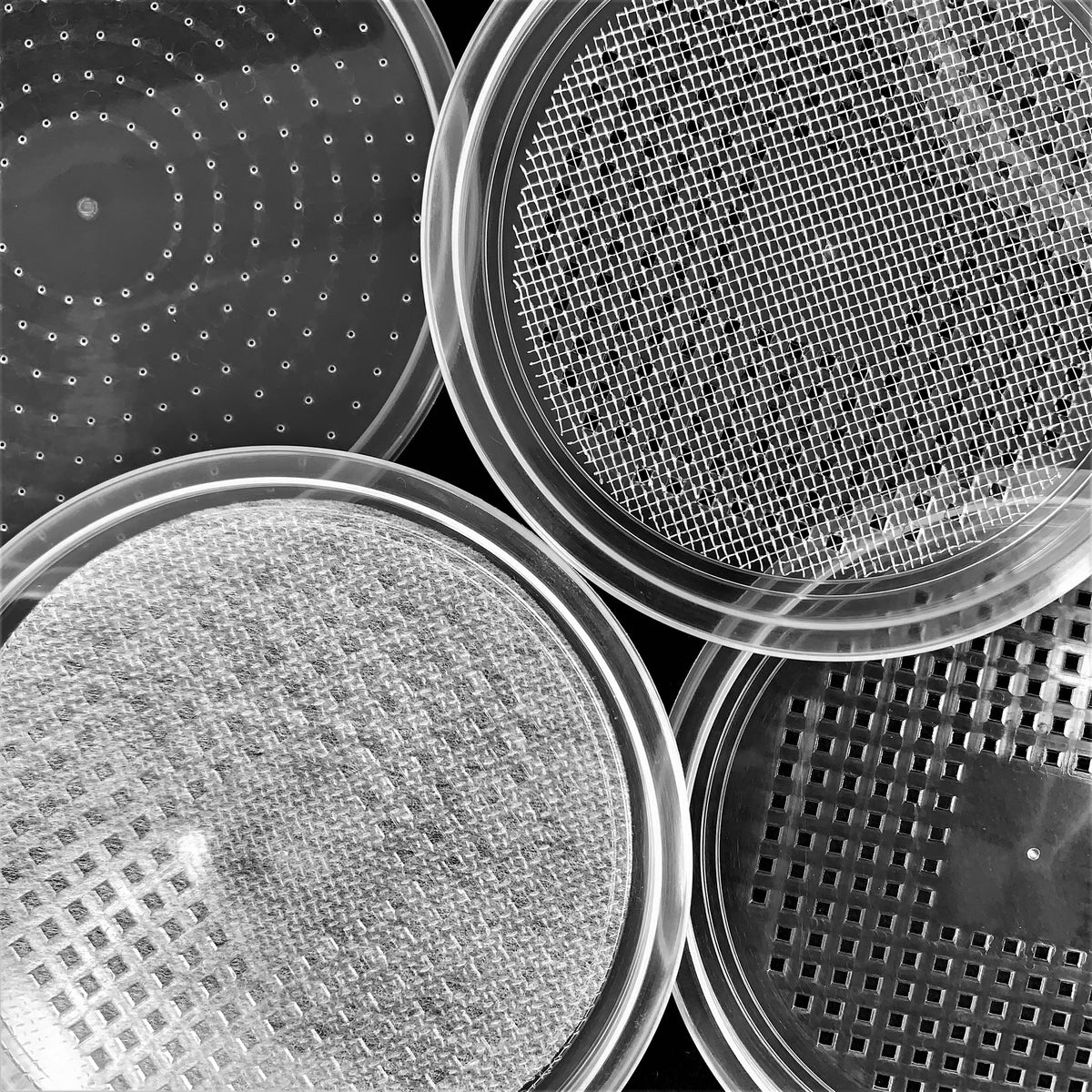 Vented Insect Cups – WaKooshi